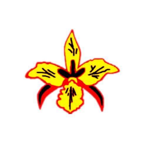 Paling Populer 16+ Bunga Anggrek Melambangkan - Gambar Bunga Indah