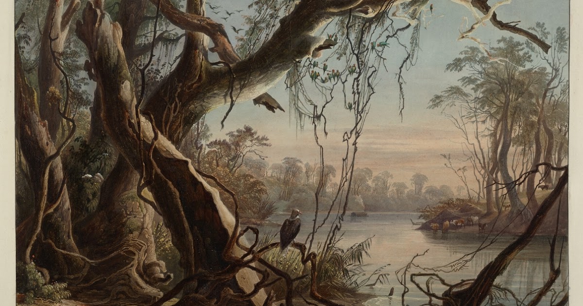 Карл Бодмер | Johann Carl Bodmer | Charles Bodmer | МАСТЕРА КНИЖНОЙ И ...