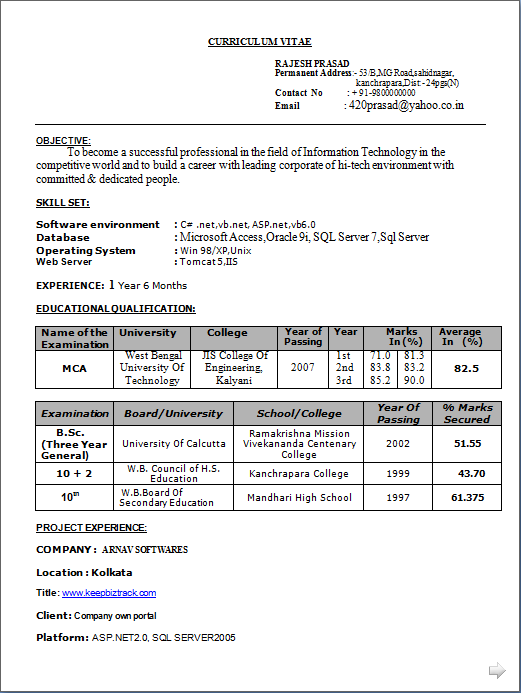 RESUME BLOG CO: RESUME SAMPLE OF MCA