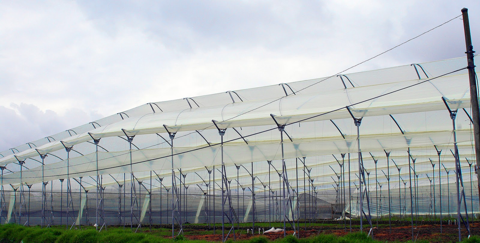 Plastilene Plasticos Comercio