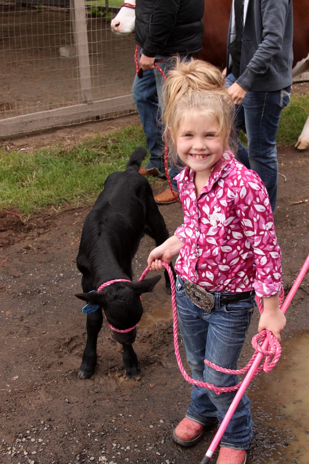 The GENEX Blog: Genesis Colostrum Products. Because Getting Your Calves ...