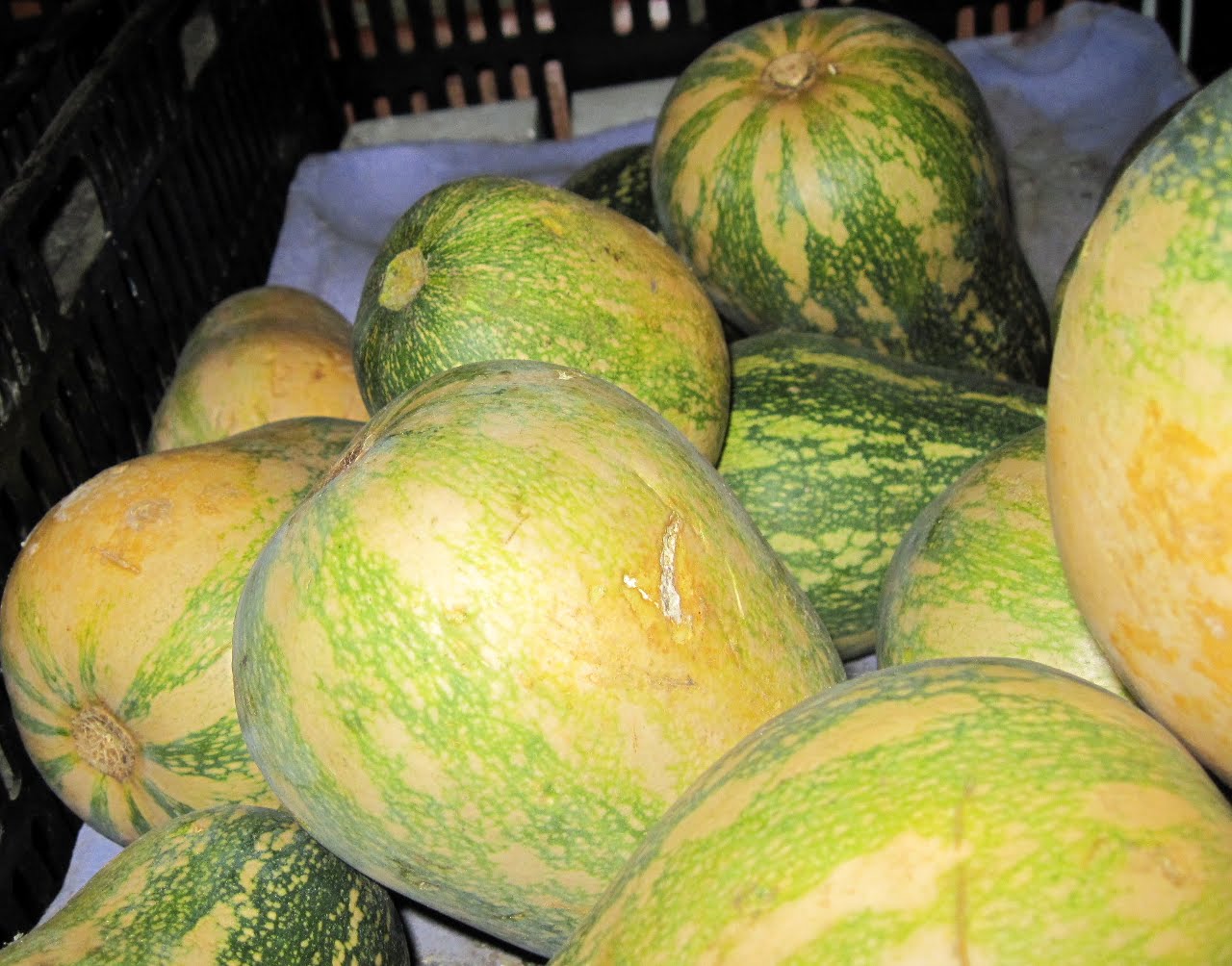 Boca de Fresa: La vitoria o victoria