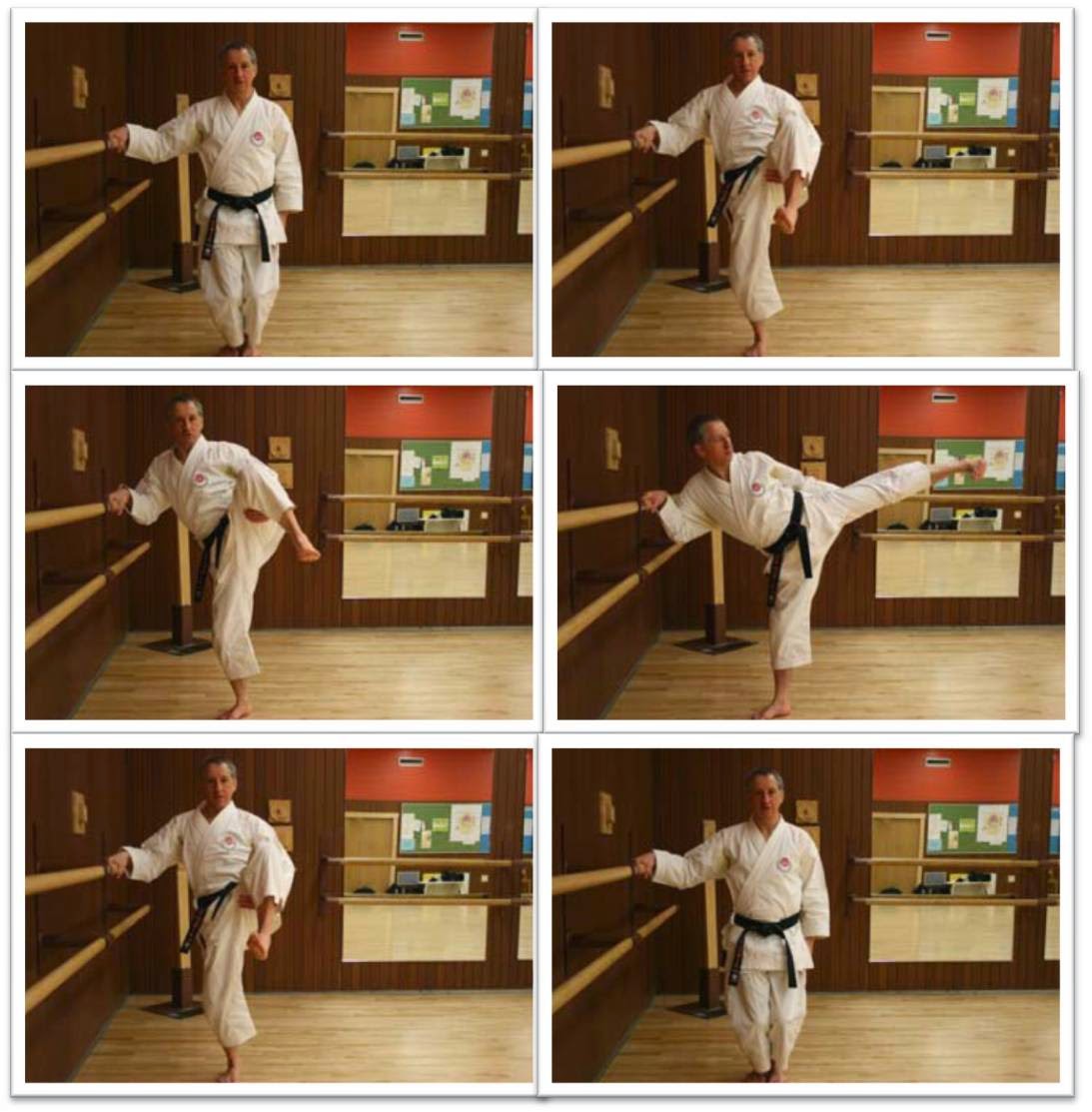 Karatepedia-Indonesia: Rahasia Yoko Geri Kekomi