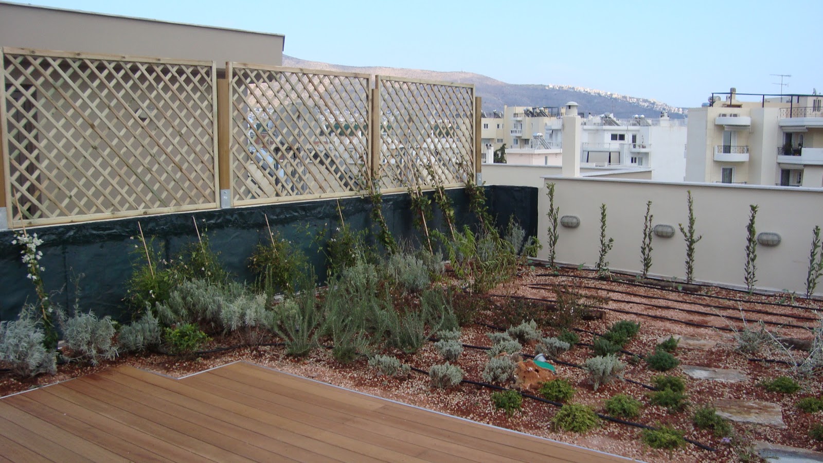 ΤΑΡΑΤΣΟΚΗΠΟΣ...Ο ΚΗΠΟΣ ΤΩΝ ΠΟΛΕΩΝ: Ένας κήπος με λαχανικά και αρωματικά ...