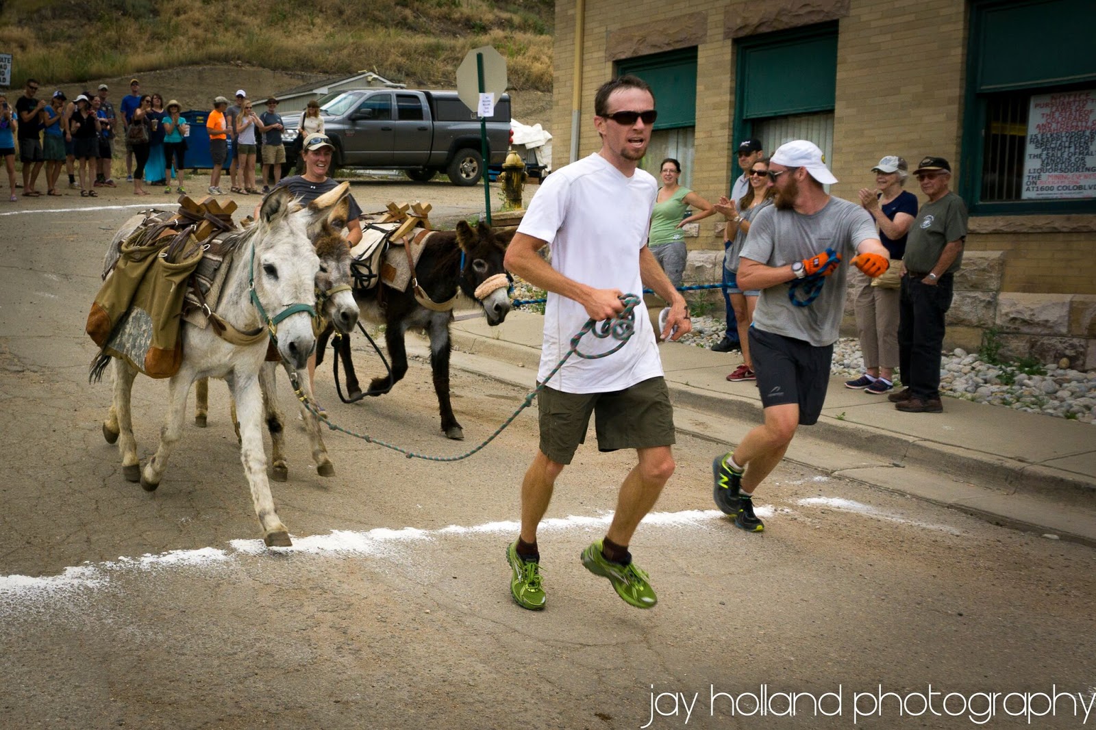 We Do Stuff: Donkey Racing