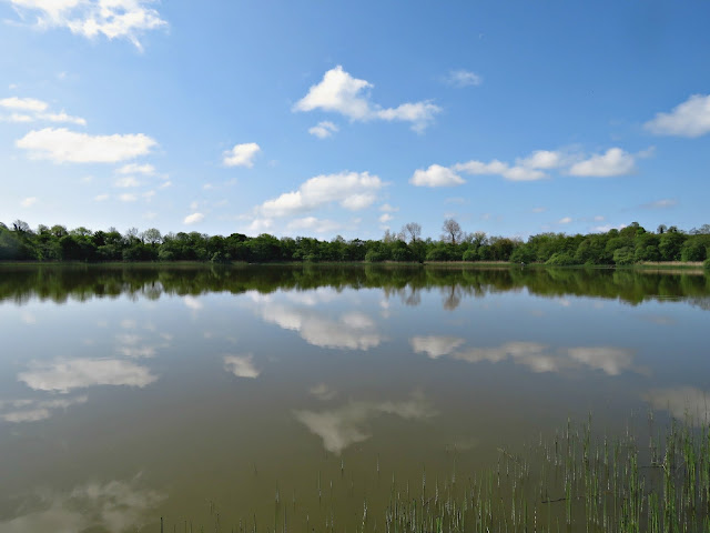 just saying ...: Half-term hols in the green heart of Ulster ...