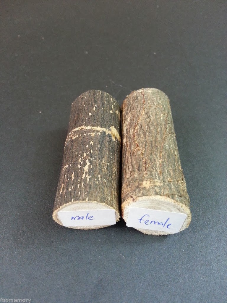 Raja Kayu Malaysia: JUST RM1 Kayu Tas Kayu Hujan Panas God Mountain ...