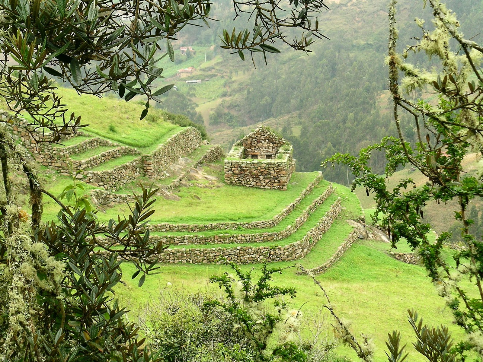 Miradas: COJITAMBO: TEMPLO DE ALTURA