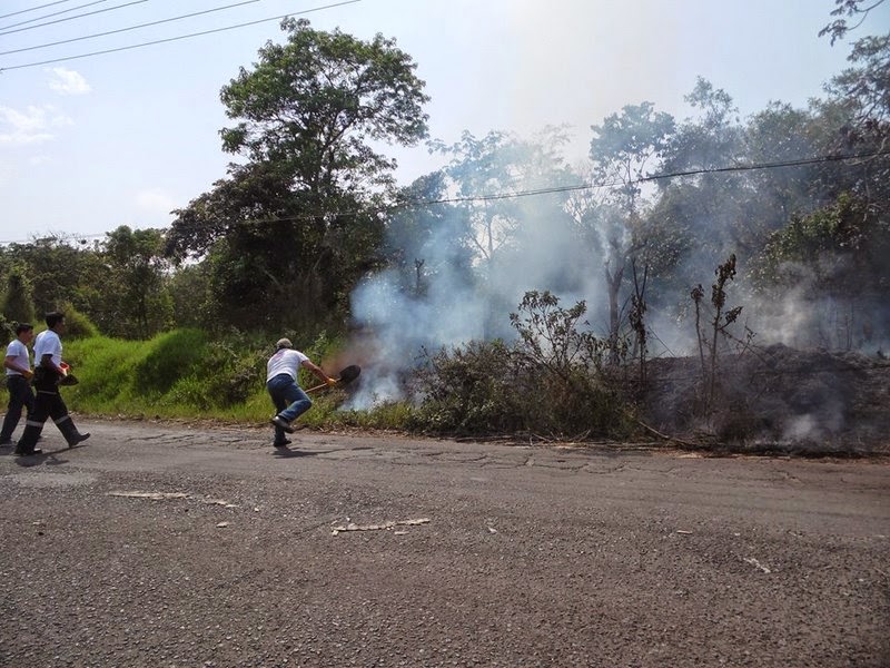 Elox Noticias: VULNERABLE COATEPEC A LOS INCENDIOS FORESTALES