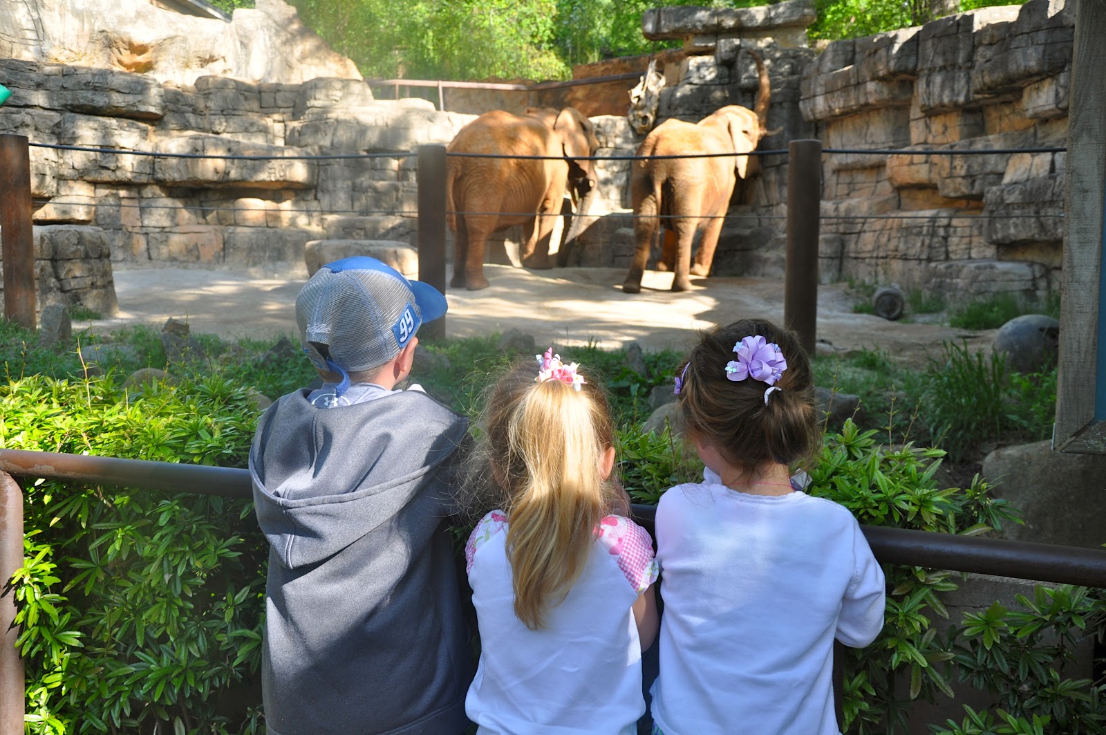 The Coulter Family Blog: Zoo Fun Day