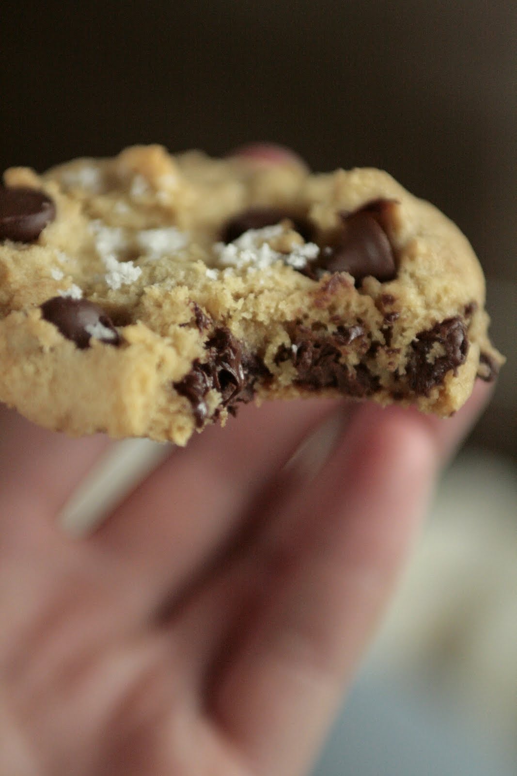 Indigo Scones: Chocolate Peanut Butter Tart & 3 Years of Indigo
