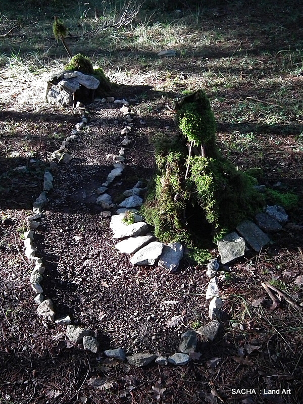 L'art dans la nature ( blog sur le Land Art )