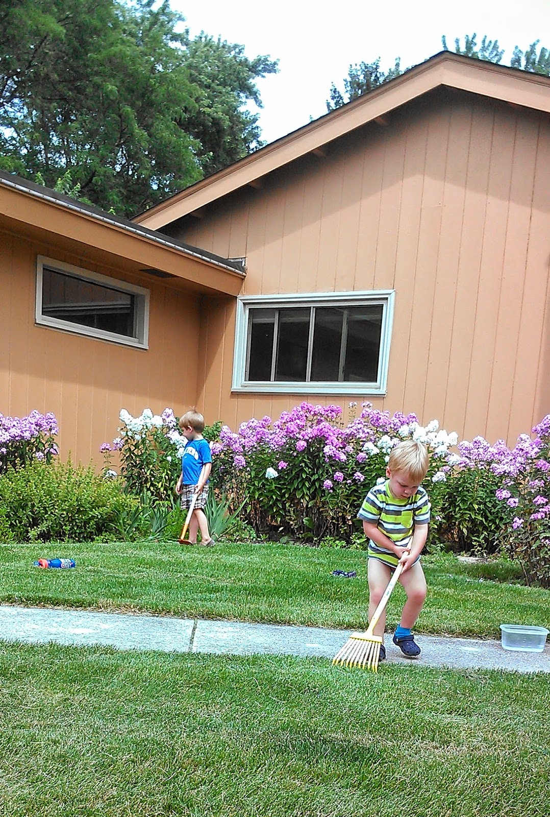 The Fuchs Report: Potty Training, again