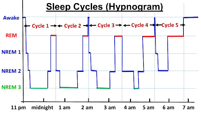 ektalks: SLEEP (Part 2): Why Do We Need to Sleep? The Science of Sleep ...