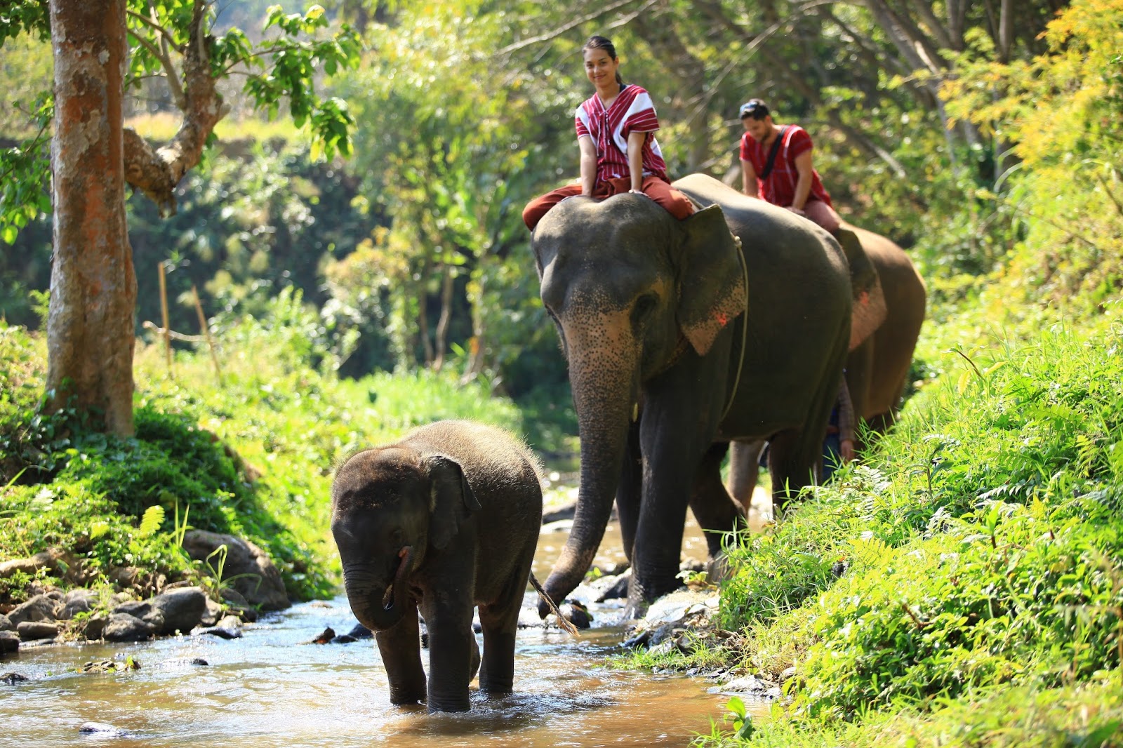Jessie & Jake: Honeymoon Thailand: Patara Elephant Farm