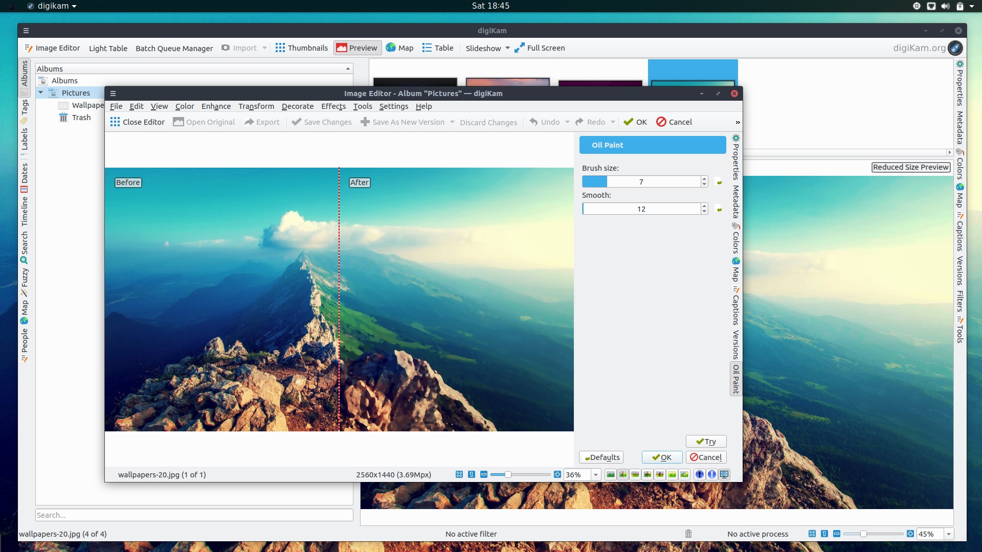 Digikam linux mint 17-3 mate - resultsmain