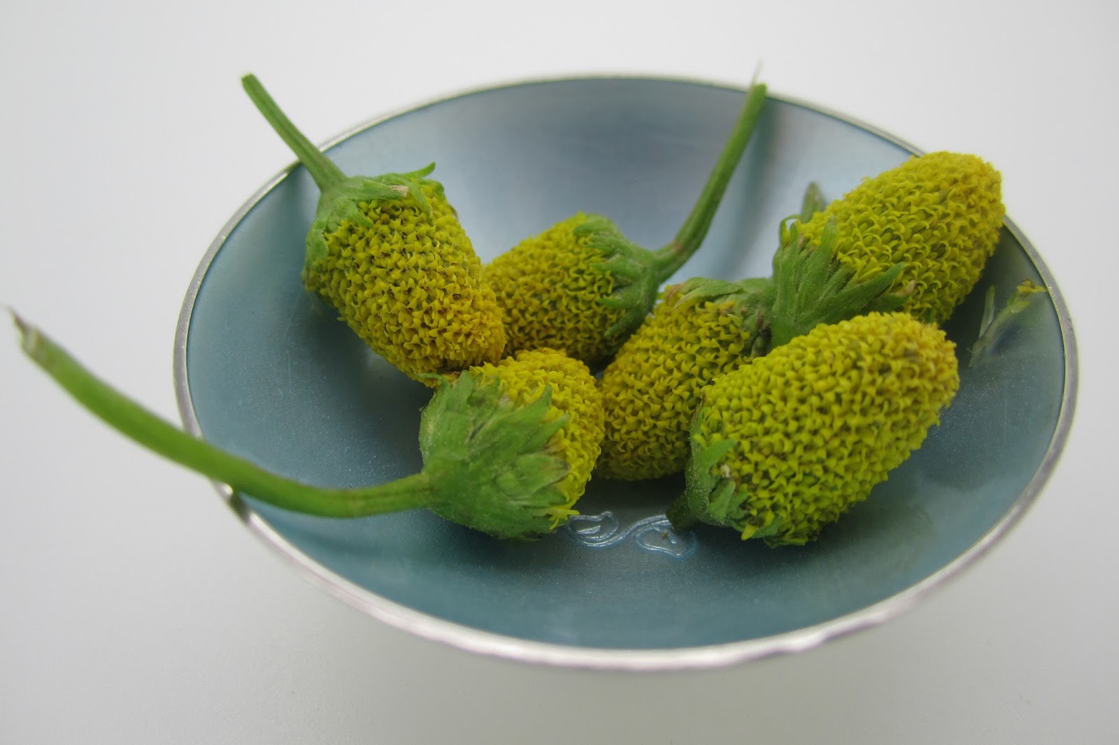 By Marloes Thuis: Sechuan Buttons