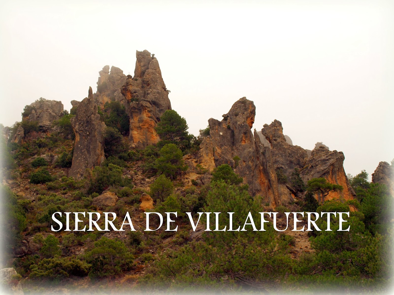 ^ CUMBRES DE CARTAGENA: SENDERISMO ^: Sierra de Villafuerte: Diversidad ...