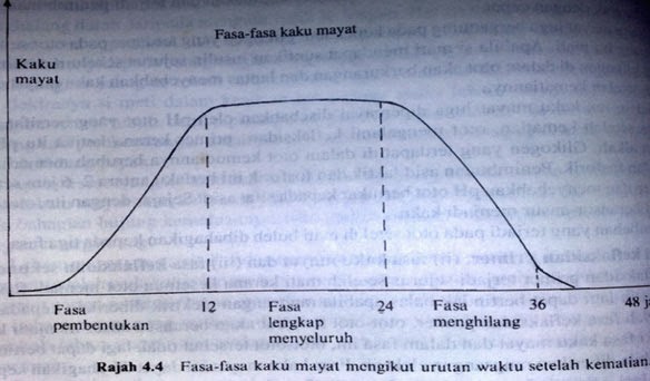 BIMBINGAN DAN KAUNSELING: Kematian