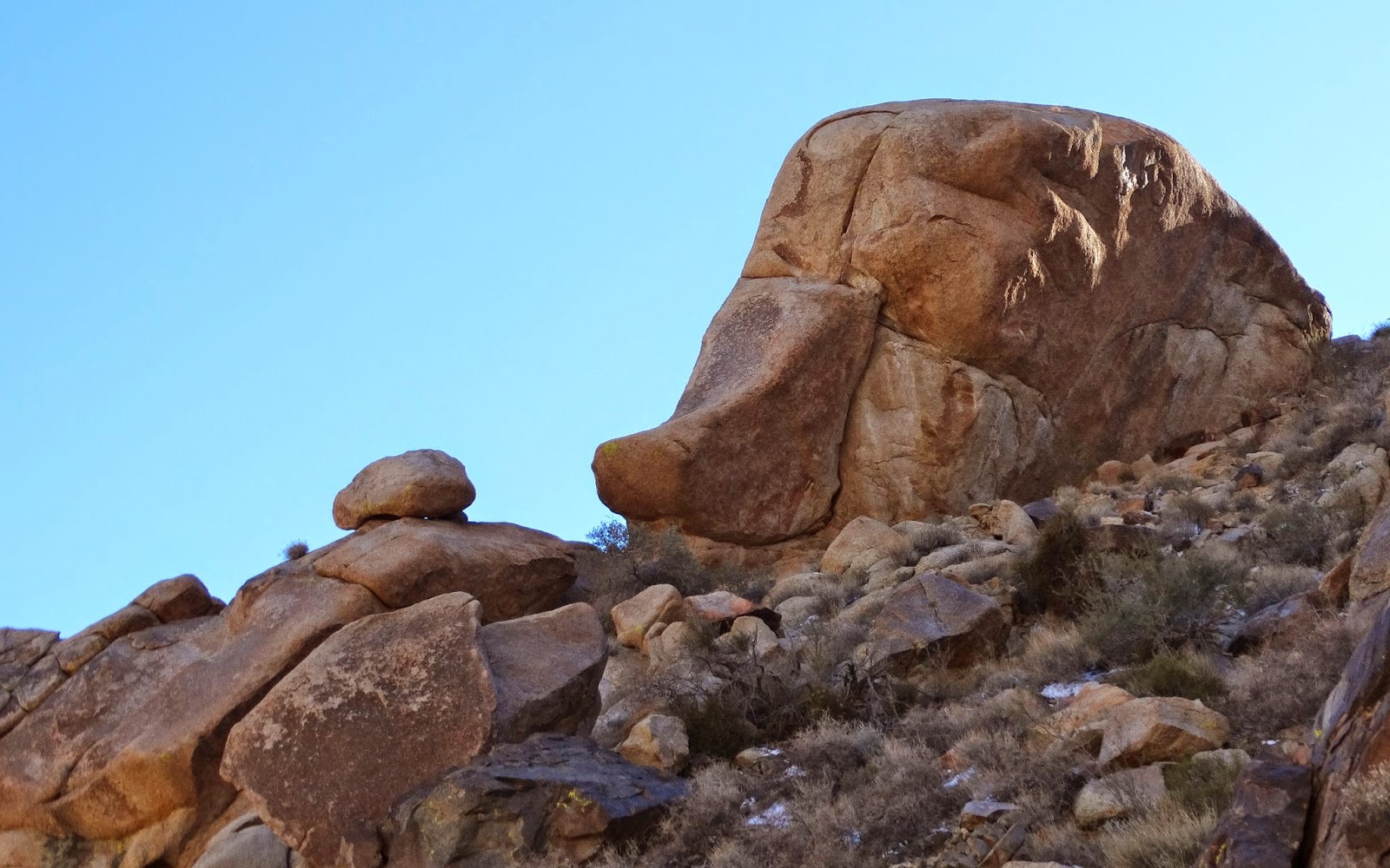 Our Four Wheel Camper: Around Lake Mohave Part 2 - "Found a sleeping ...