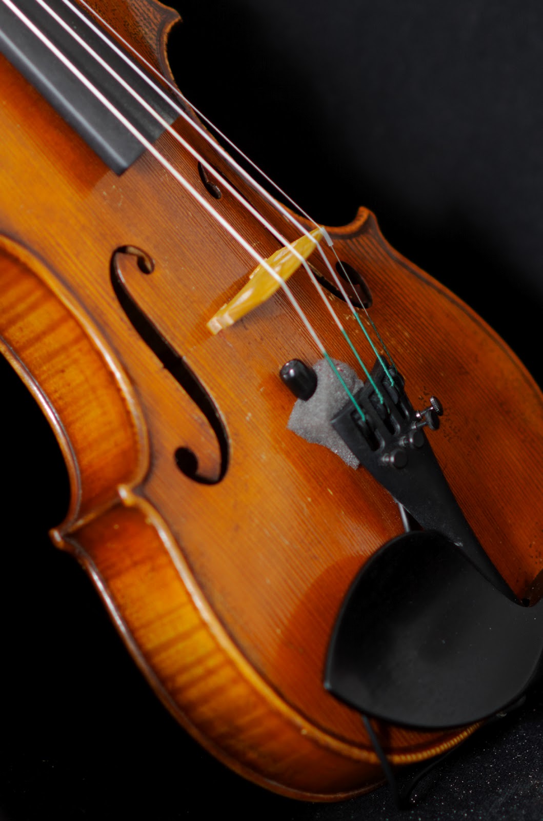 The Jansberg Blog: The Fiddle Mic