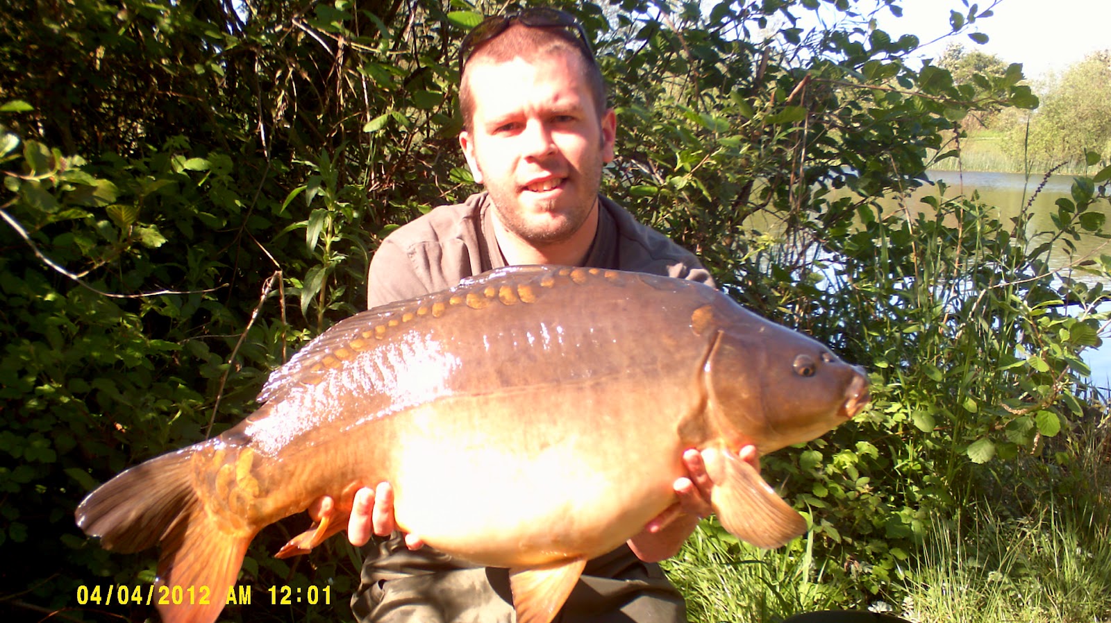 CARP LIFE