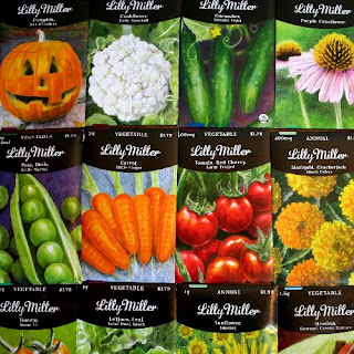 The Rainforest Garden: Win My Illustrated Seed Packets!