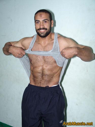 Mahmoud Hamdi - Body Builder