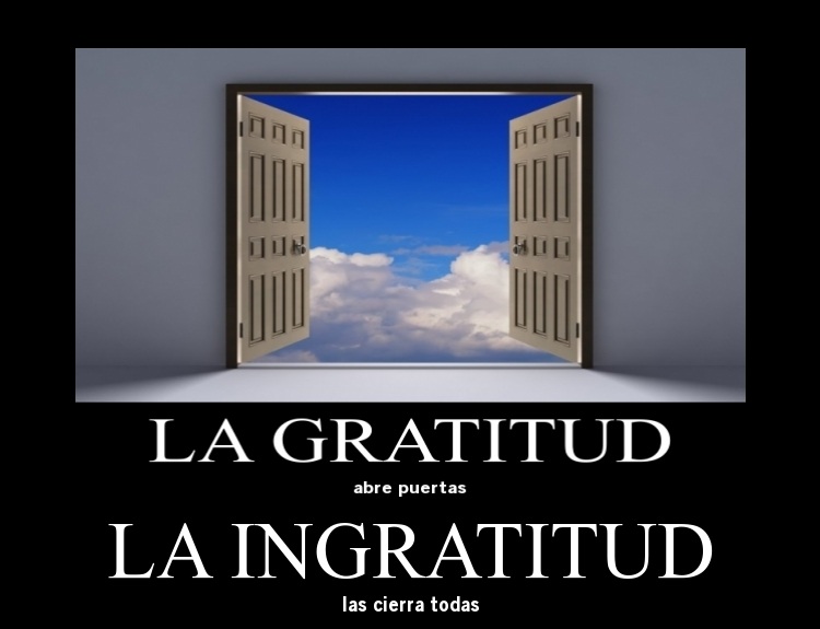 Mirando el Horizonte: La ingratitud, esa conducta humana que pulula por ...