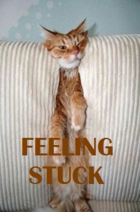 Kat in the Hat: I Feel Stuck