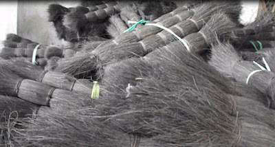 Perlu Tahu, Ini Hebatnya Sikat Bulu Ijuk Aren - JURAGAN LONDRY