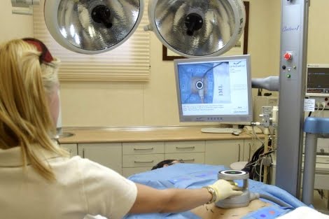 Noticias de Salud: Un ensayo apunta la reaparición de la grasa al año ...