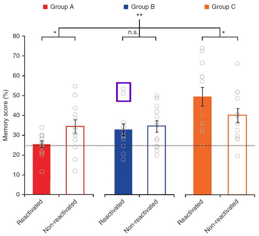 The Neurocritic: How Can We Forget?