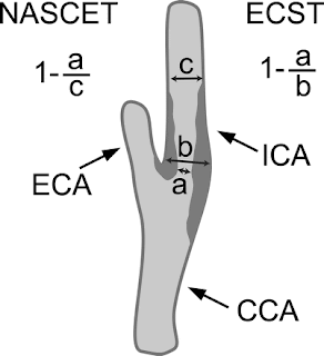 [A7, B6] 頸動脈エコー