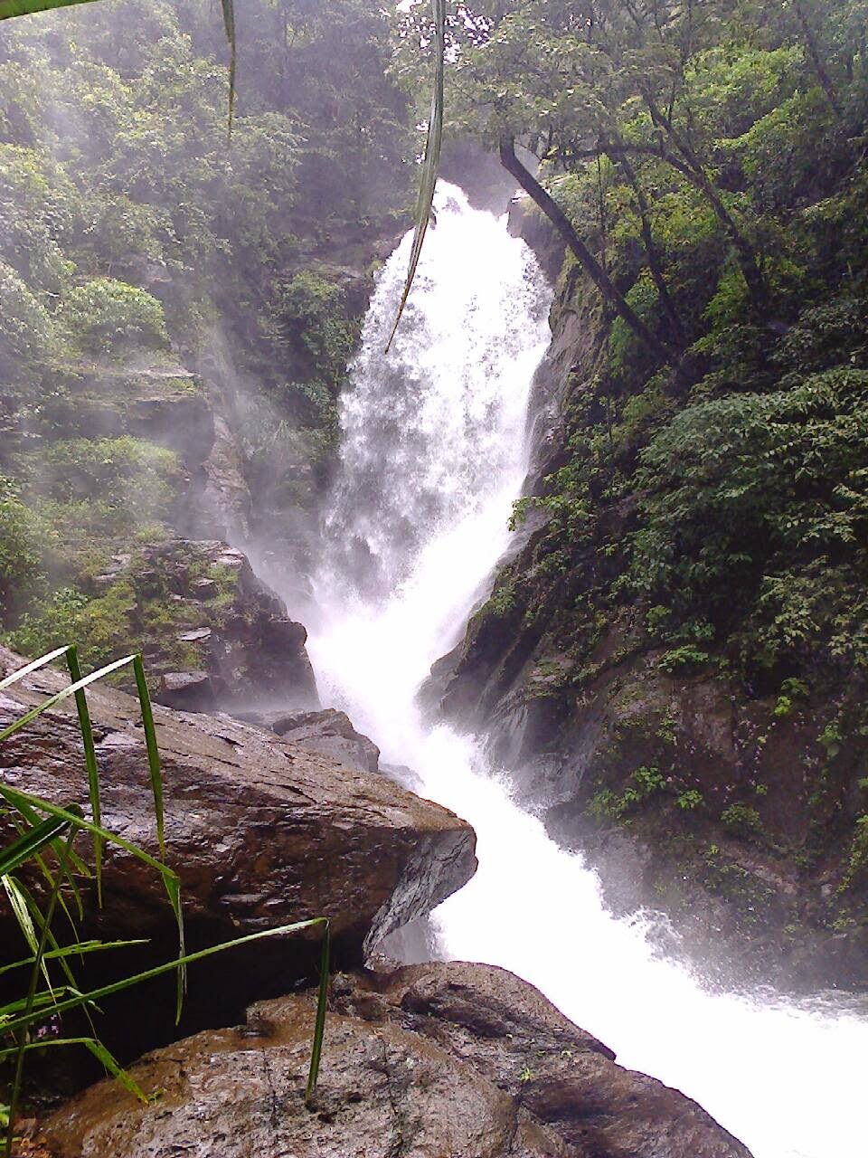 Places of Goa: Netravali: Savari waterfall- mesmerizes nature lovers.