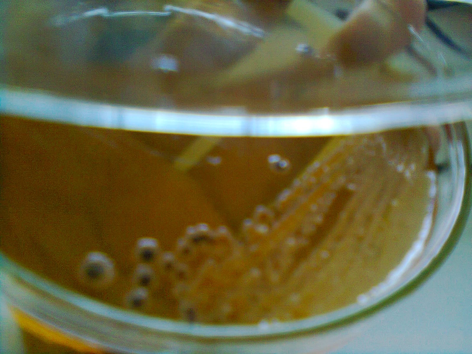 Teenoz Health Analyst: Gambar Hasil Identifikasi Klebsiella