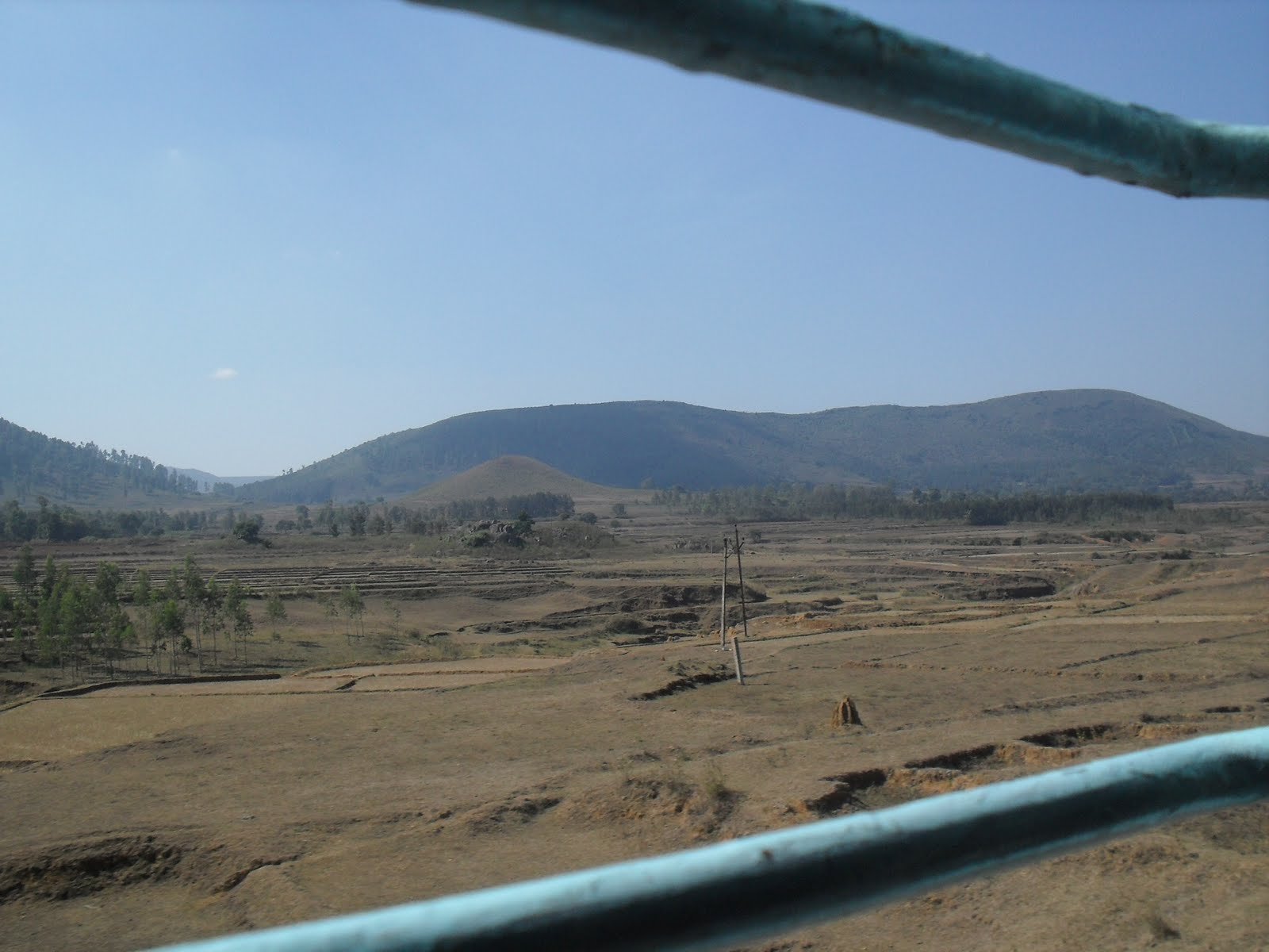 నెమలికన్ను: జనవరి 2012