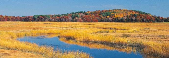 Standing Firm : Newbury, Massachusetts - The First Merrill Homestead