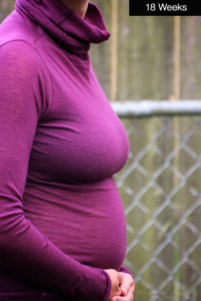 The Adventures of Randy, Julie + Hudson: Baby Bump - 18 weeks