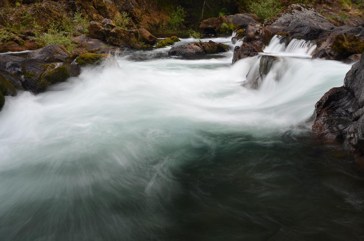 Shane Minton photography