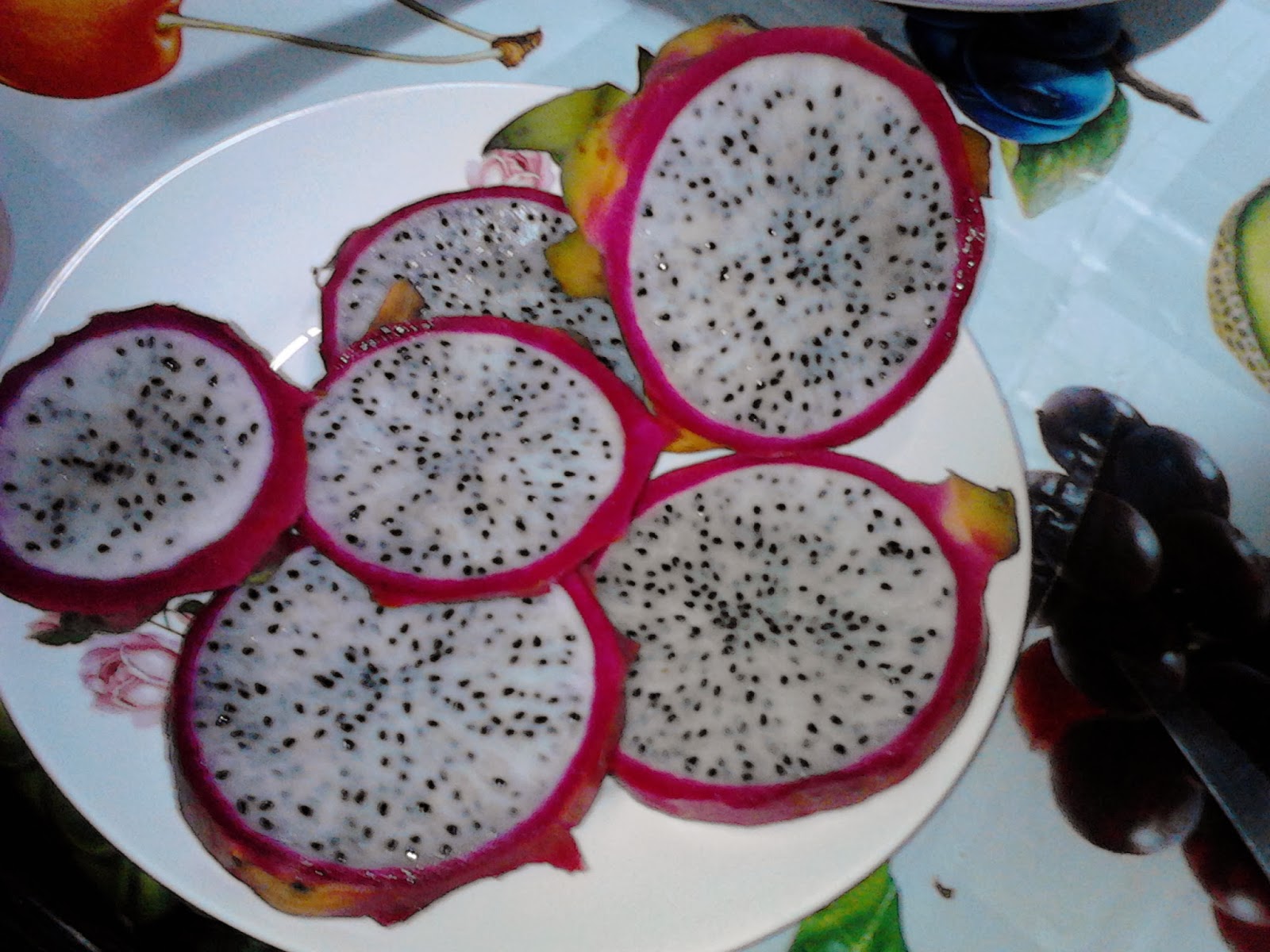 A Minha Pequena Horta: Pitaya Rosa - A fruta do momento, A Prova