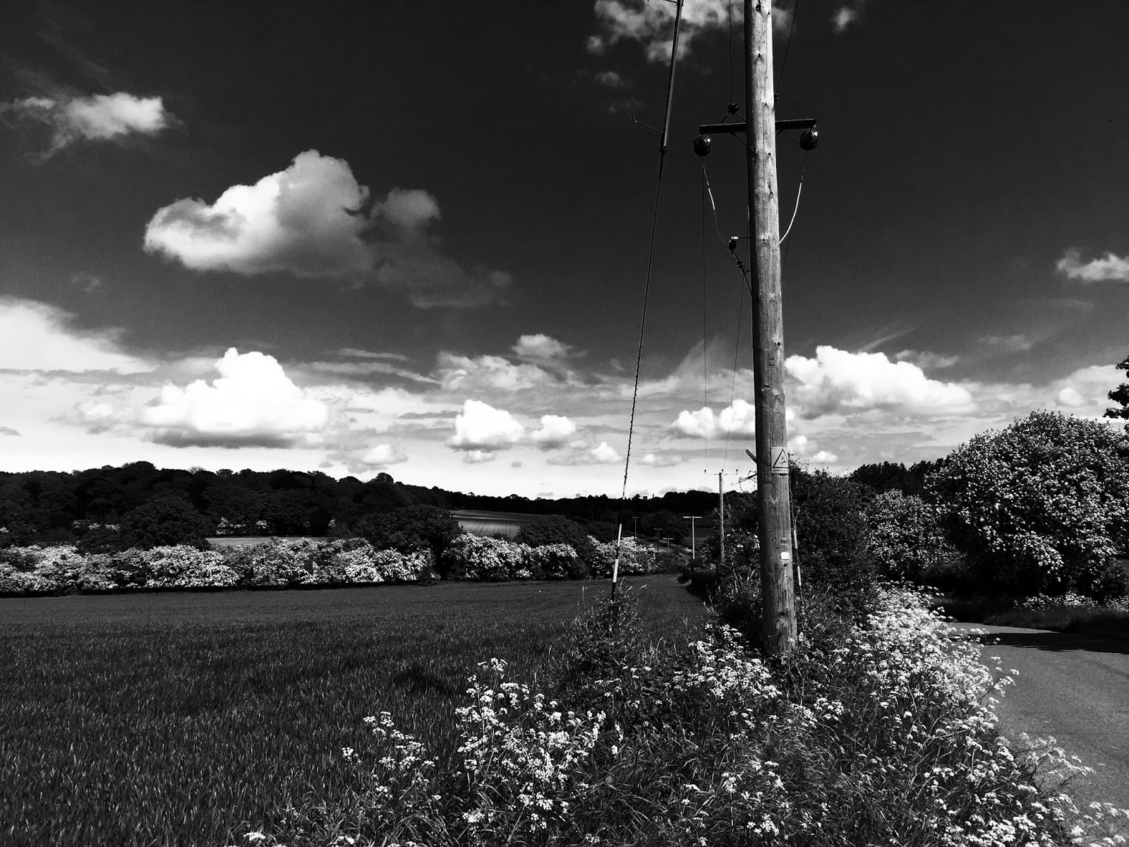 A ride over to Lidgate Castle