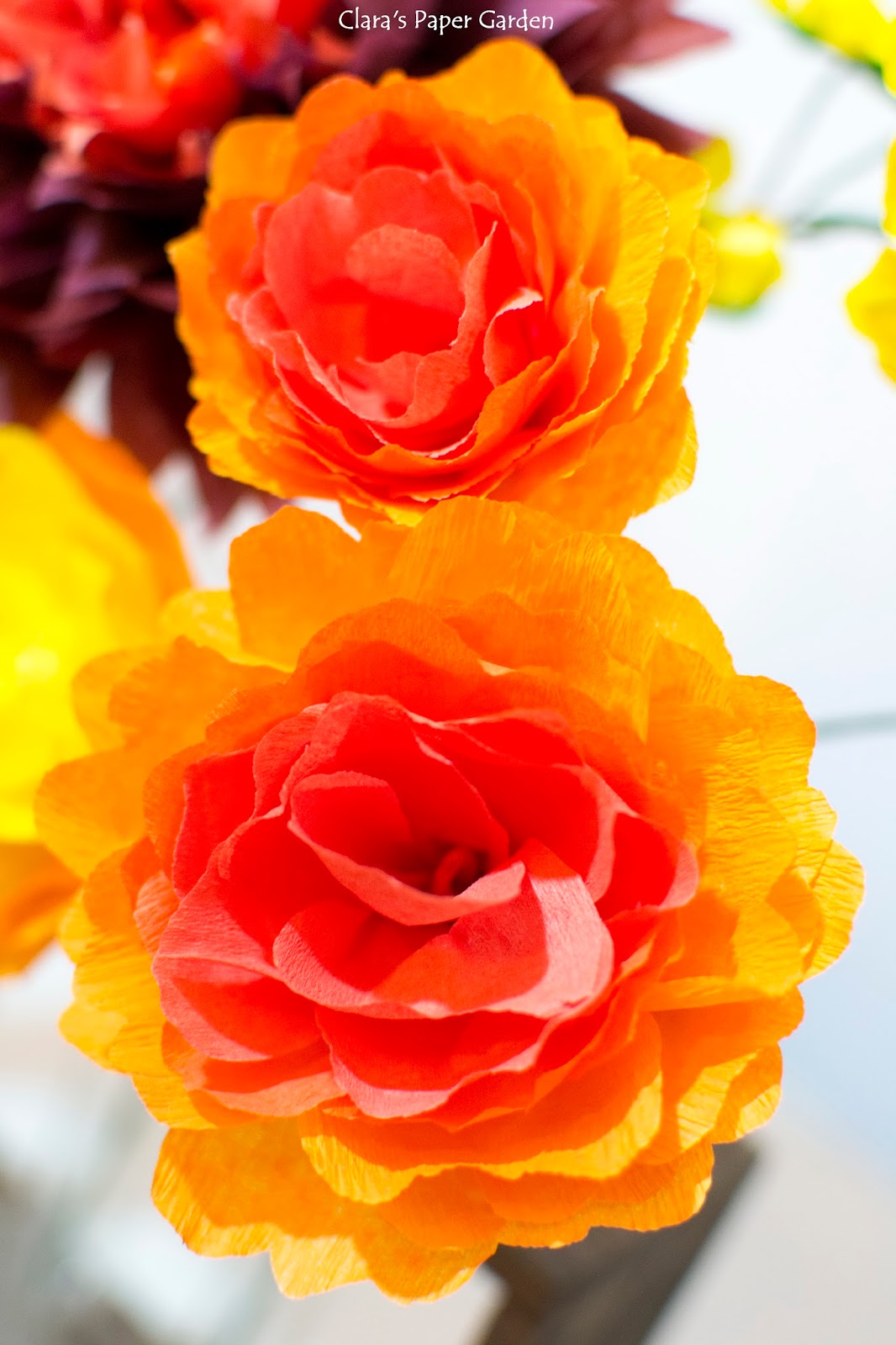 Crepe paper flowers