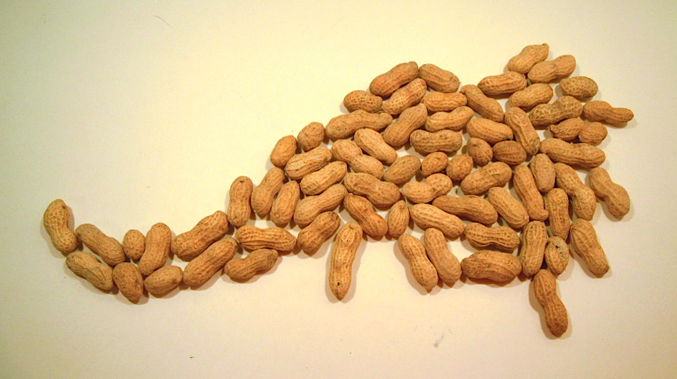 An Elephant a Day: Elephant No. 345: Peanuts