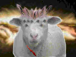 FE BÍBLICA: El Cordero en Apocalipsis 5