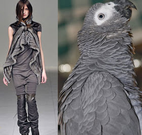 WEIRD NEWS: Fashion inspired by animals and insects