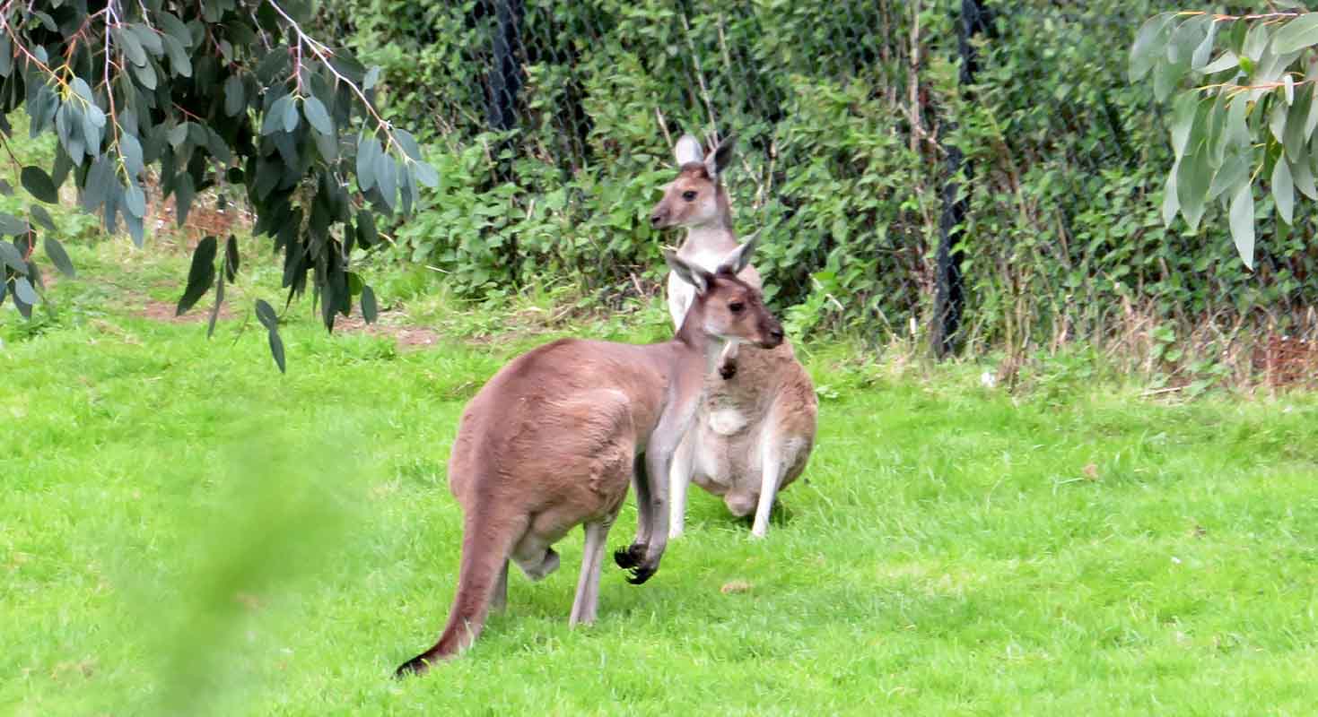Alex and Bob`s Blue Sky Scotland: Edinburgh. The Long Walk. A Grail ...