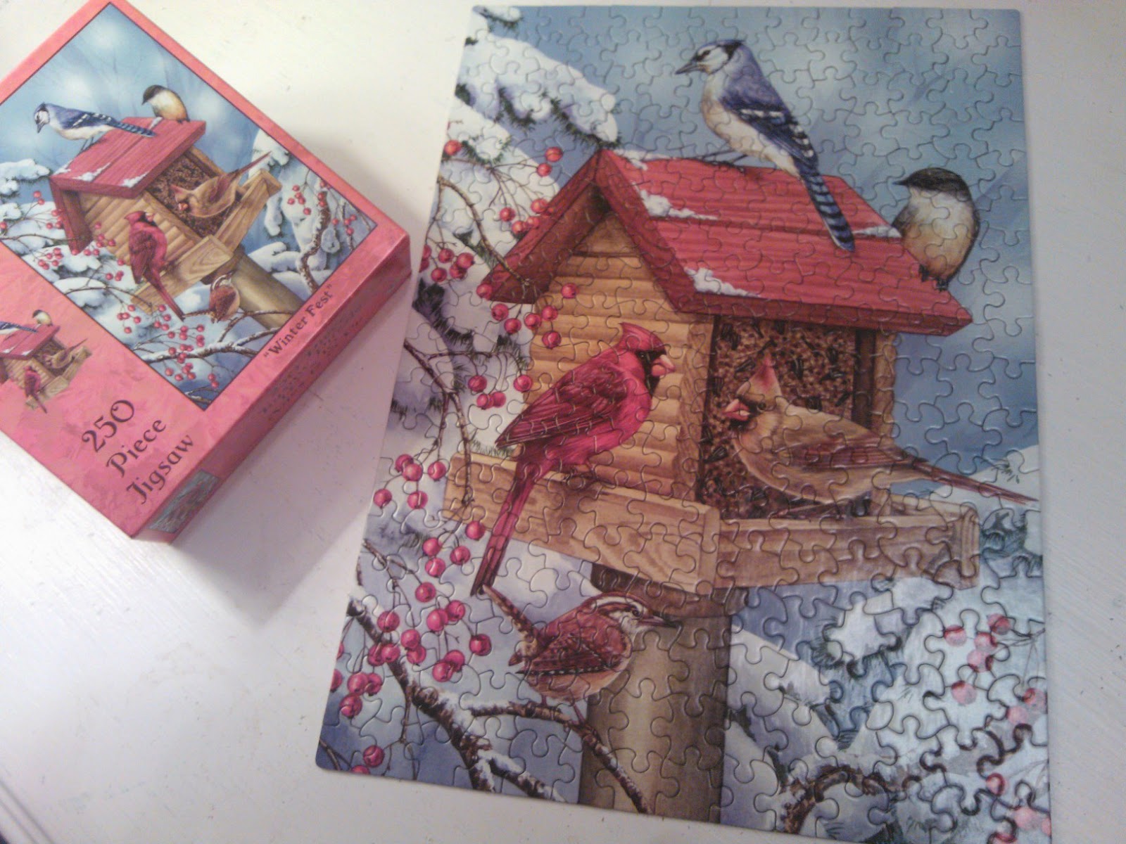 His Heart of Compassion: Little Christmas Bird Puzzles