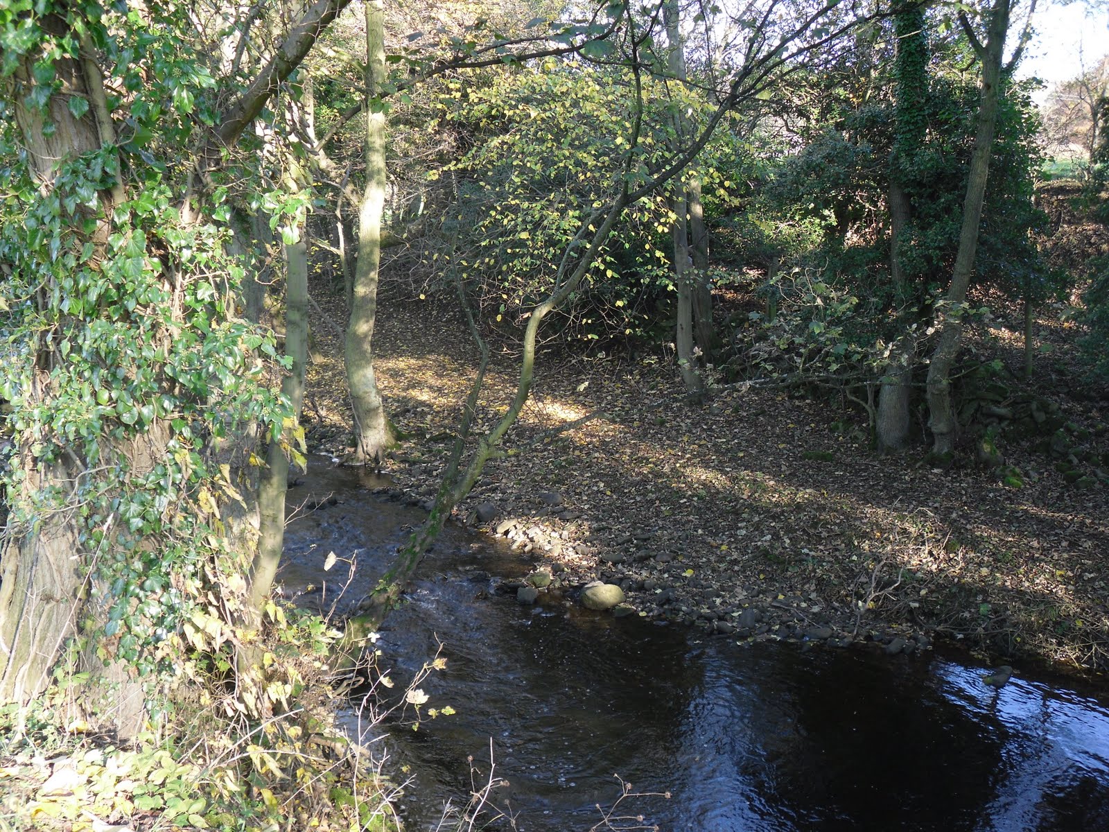 Rambling Nana: Wolsingham, Tunstall Reservoir Circular