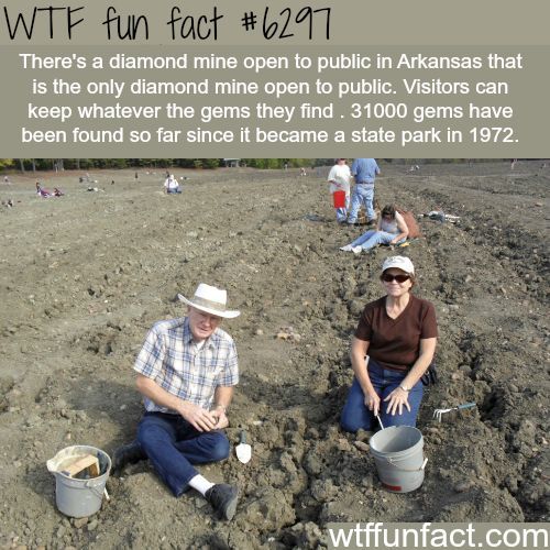 60 Totally Random And Interesting WTF Facts You Never Needed to Know ...